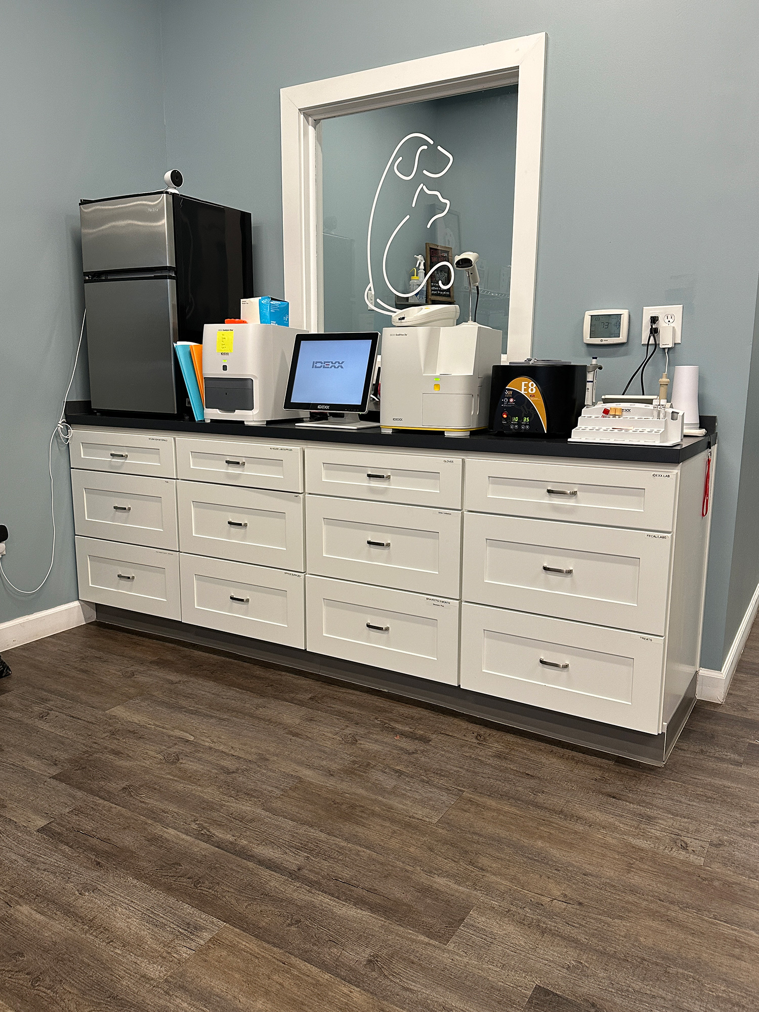 Pet X-ray & Lab Work Midlothian, VA | easyvet Midlothian